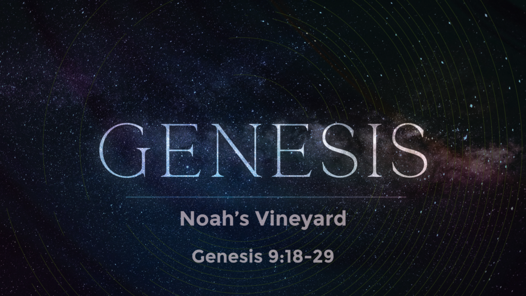 Noah's Vineyard -Genesis 9vv18-29